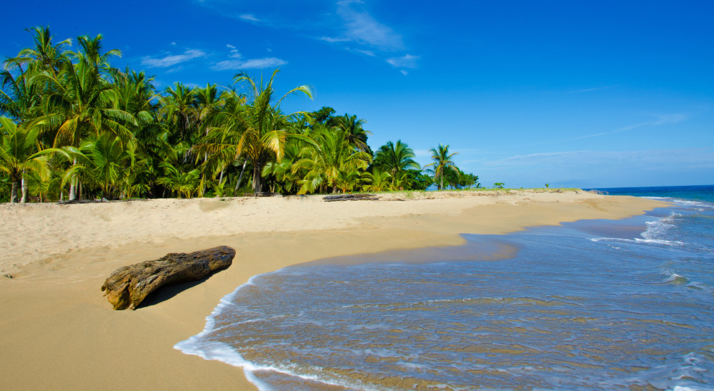 Premier Travel Resorts | Cheap Vacation Packages At Your Leisure